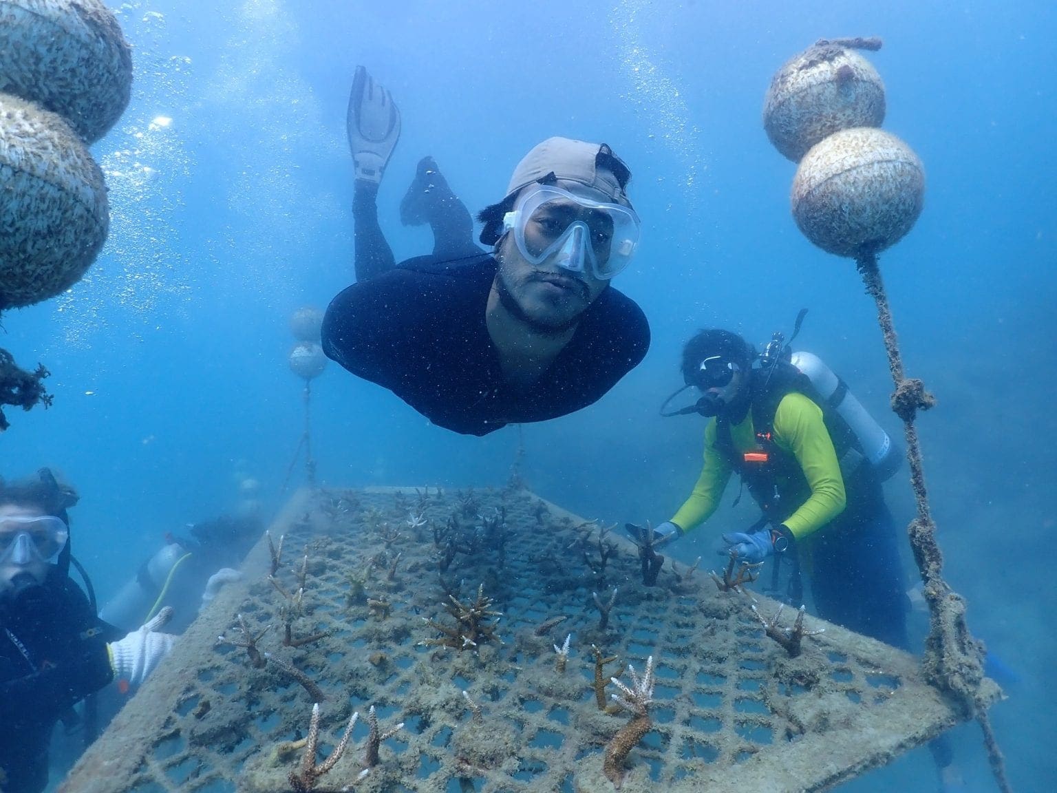 Whitsunday Coral Restoration Project - Ocean Rafting Website